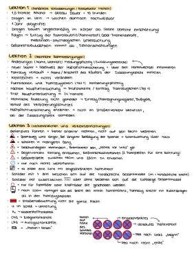 Einfach erklärt: Führerschein Theorie Zusammenfassung PDF 2024: Alle Fragen und Antworten für ...