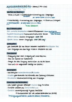 Einfach erklärt: Reiz-Reaktions-Schema einfach erklärt - Beispiele ...