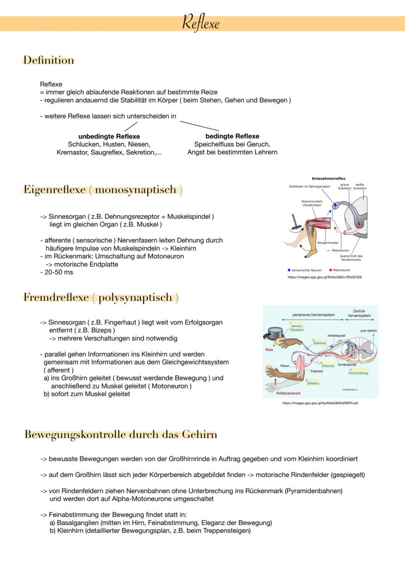 Welche Reflexe gibt es? Beispiele für bedingte, unbedingte und ...
