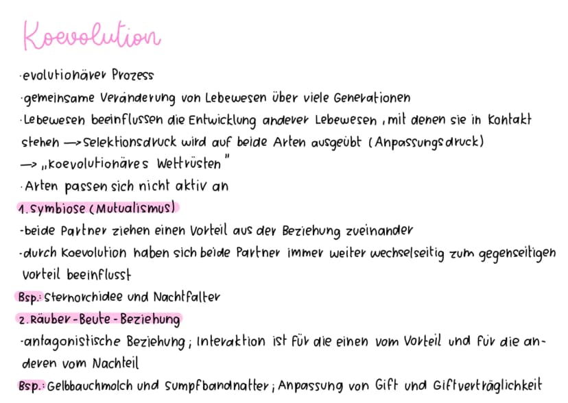 Koevolution einfach erklärt: Räuber-Beute-Beziehung & Symbiose ...
