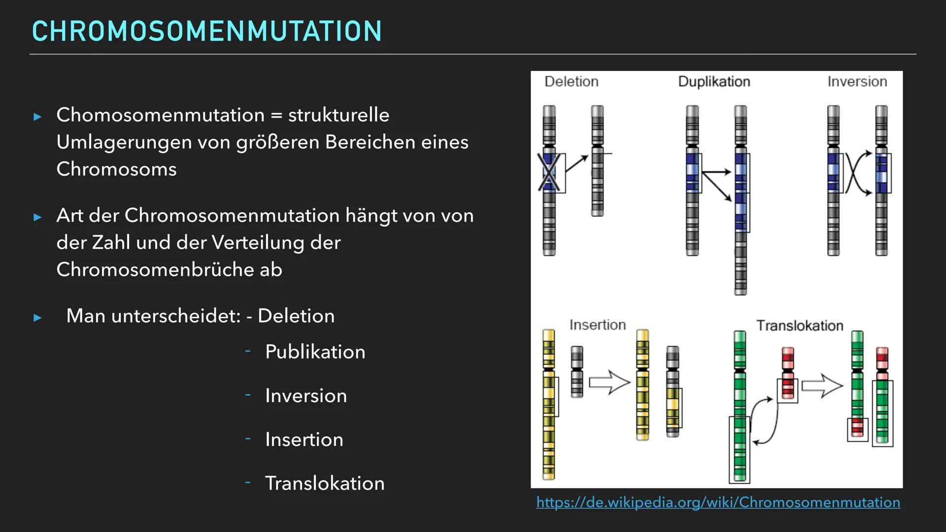 Genmutationen einfach erklärt: Beispiele, Ursachen und Folgen (Biologie ...