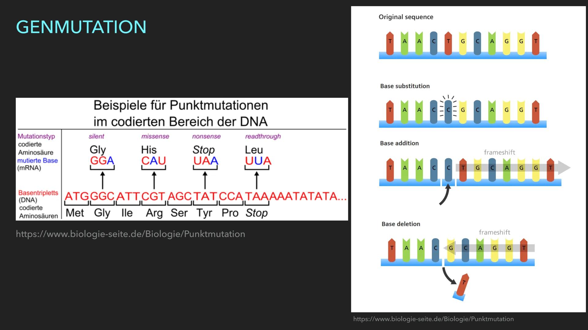 Genmutationen einfach erklärt: Beispiele, Ursachen und Folgen (Biologie ...