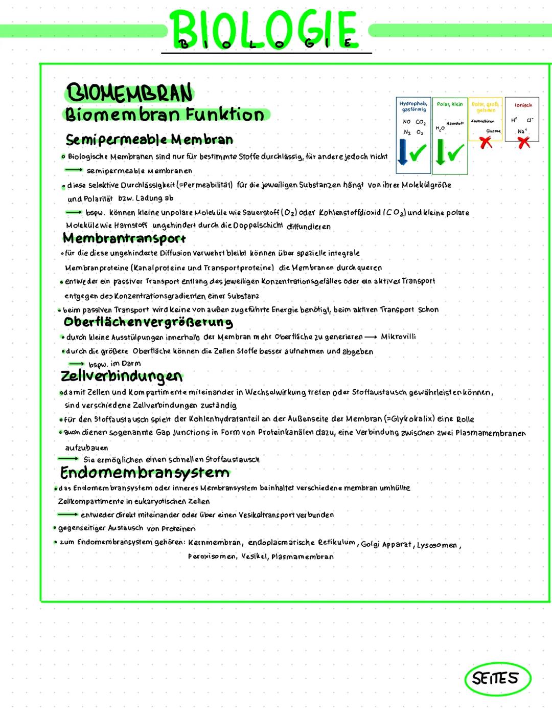 Einfach erklärt: Biomembran: Aufbau, Funktion & Modelle - Flüssig ...