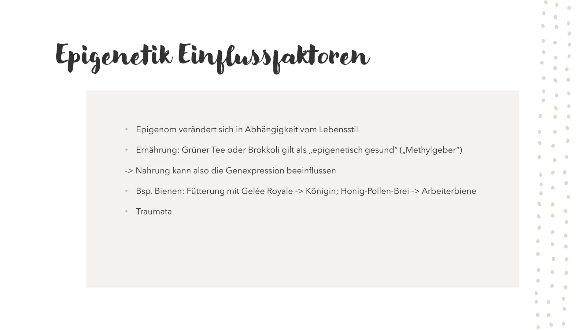 Epigenetik Präsentation (Biologie) als PDF - Knowunity