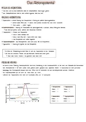 Einfach erklärt: Reiz-Reaktions-Schema einfach erklärt - Beispiele ...