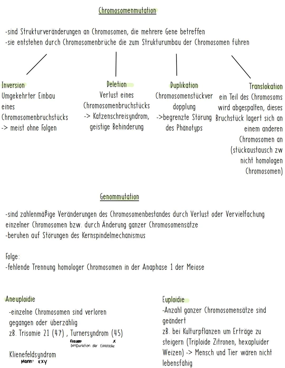 Mutation und Modifikation: Definition, Beispiele und Unterschiede ...
