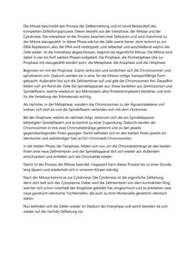 Eigenreflex und Fremdreflex einfach erklärt mit Beispielen (Biologie ...