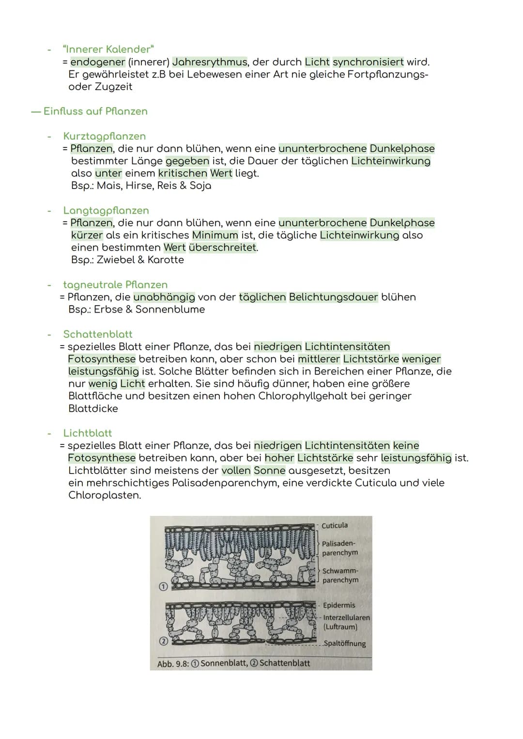 Einfach erklärt: Abiotische und Biotische Faktoren: Beispiele und ...