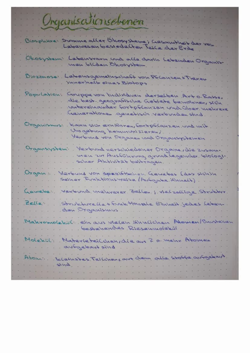 Organisationsebenen einfach erklärt: Definition, Beispiele und Biologie ...
