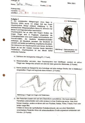Einfach erklärt: Alles über Albinismus: Ursachen, Vererbung und ...