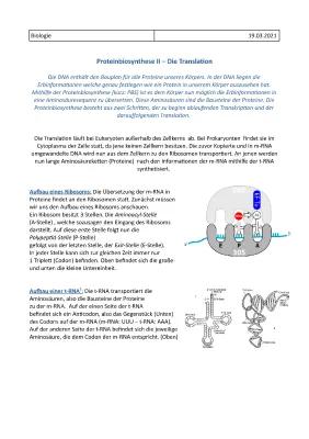 Genmutationen: Punktmutation, Leserastermutation und mehr 🧬😎 (Biologie ...