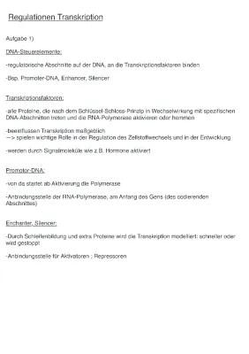 Einfach erklärt: Was sind Proto-Onkogene und Tumorsuppressorgene ...