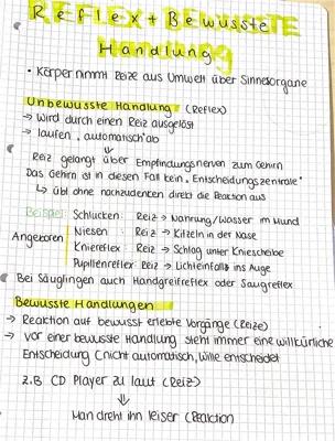 Eigenreflex und Fremdreflex einfach erklärt mit Beispielen (Biologie ...