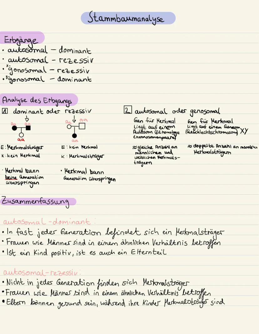 Einfache Stammbaumanalyse: Autosomal und Gonosomal erklärt (Biologie ...