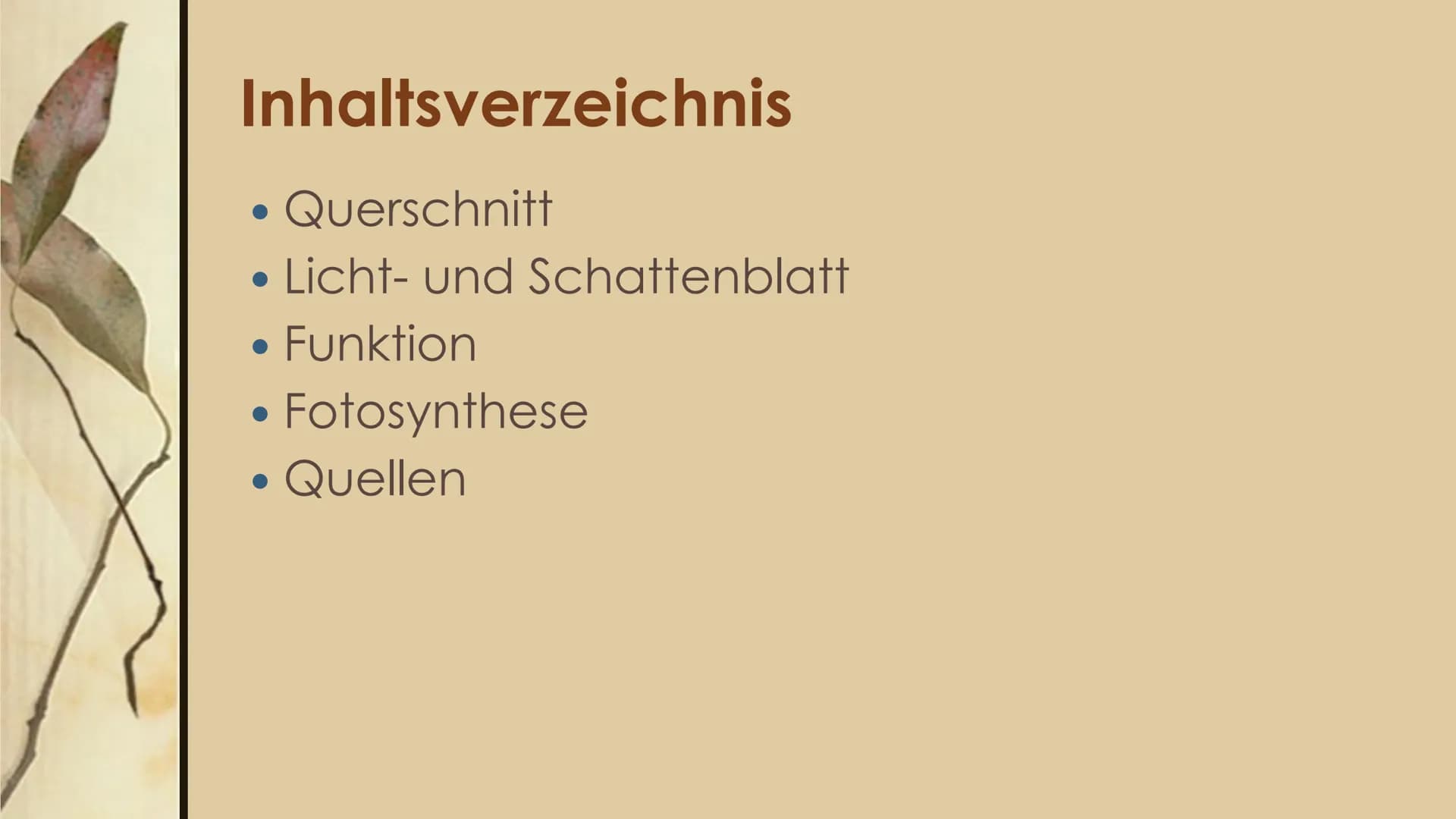Aufbau des Laubblattes: Arbeitsblatt und Funktion (Biologie) als PDF ...