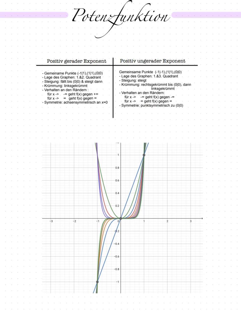 Einfach erklärt: Potenzfunktionen: Übungen, Beispiele und Eigenschaften ...