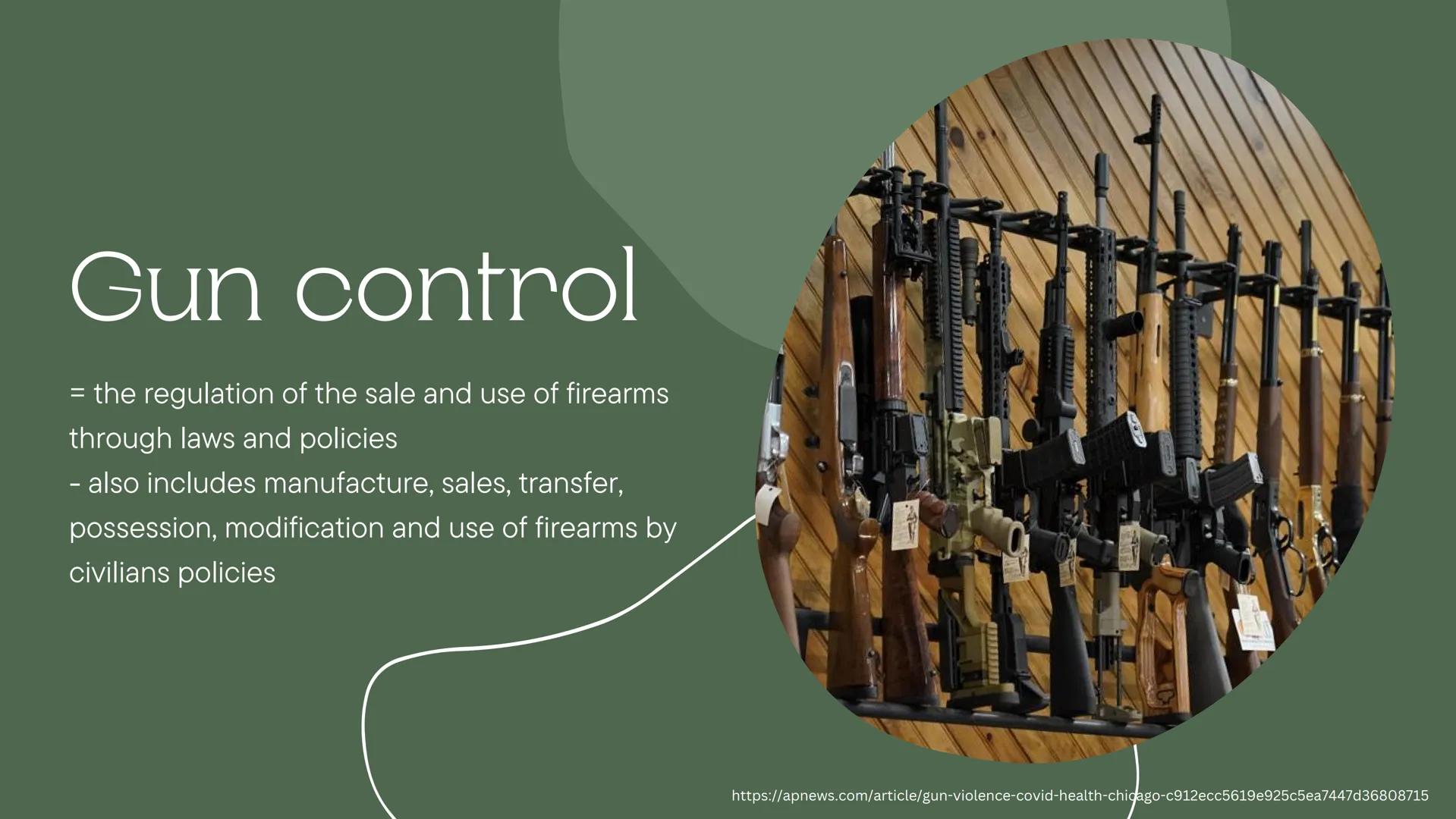Einfach erklärt: Understanding Gun Control: Pro and Con Arguments in ...