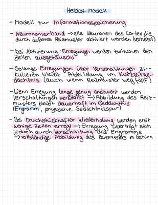 Eigenreflex und Fremdreflex einfach erklärt mit Beispielen (Biologie ...