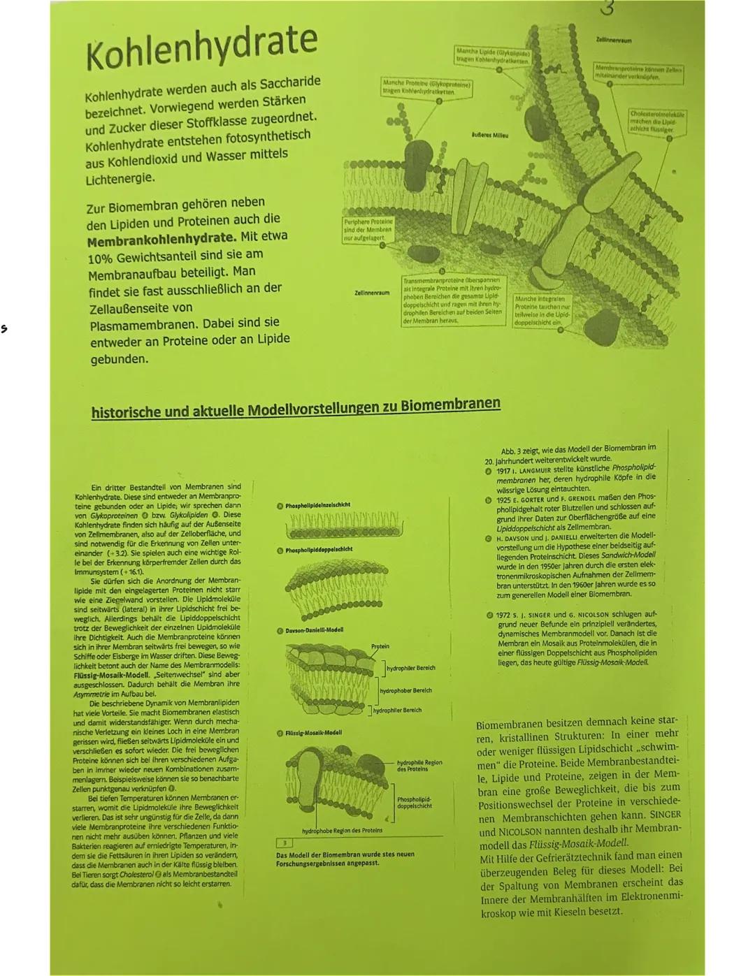 Biomembran: Aufbau, Funktion und Eigenschaften einfach erklärt ...
