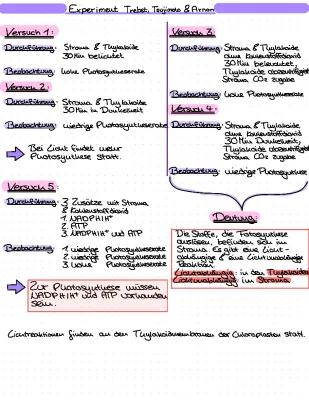 Abhängigkeit der Fotosynthese von Licht, CO2 und Temperatur - Einfach ...