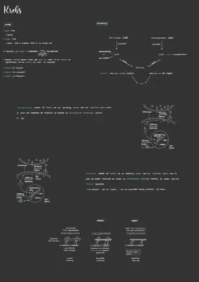 Einfach erklärt: Was sind Proto-Onkogene und Tumorsuppressorgene ...