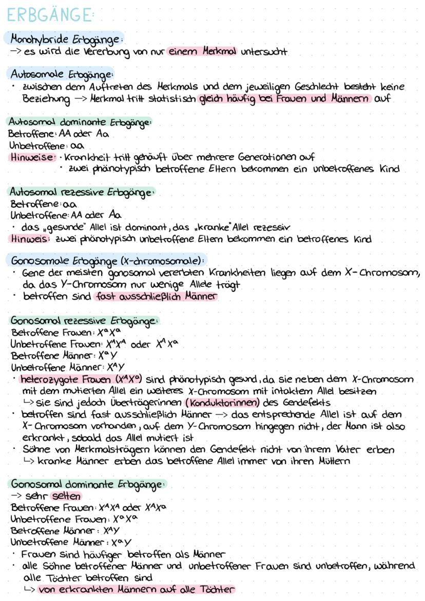 Einfach erklärt: Erbgänge einfach erklärt - Monohybrider, Dihybrider ...