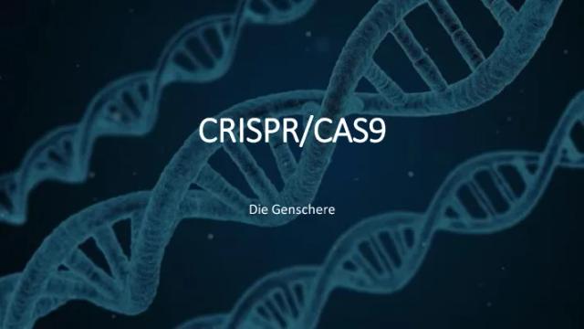 Einfach erklärt: CRISPR/Cas9 einfach erklärt: Anwendungen in Medizin und Pflanzen (Biologie ...