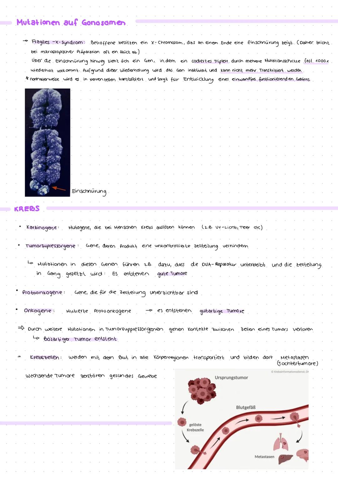 Genmutationen (Biologie) - Knowunity