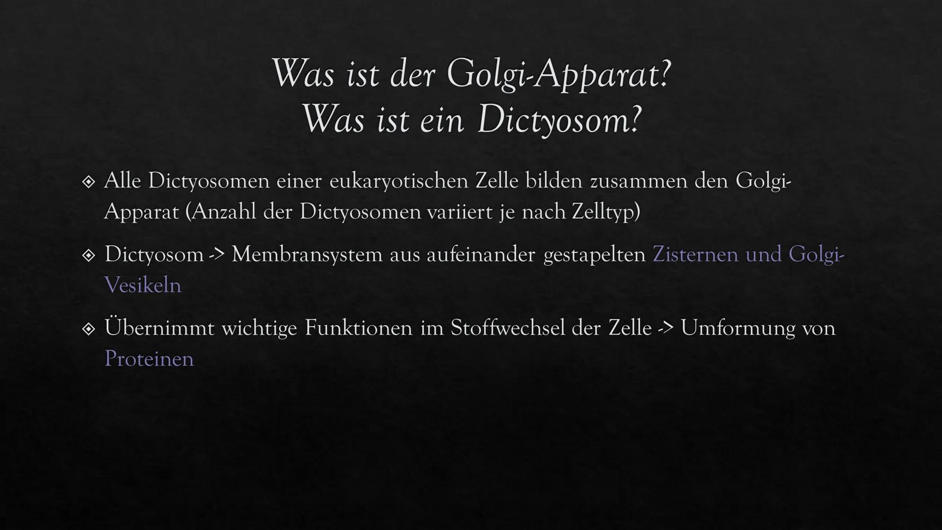 Einfach erklärt: Golgi-Apparat und Dictyosomen einfach erklärt ...