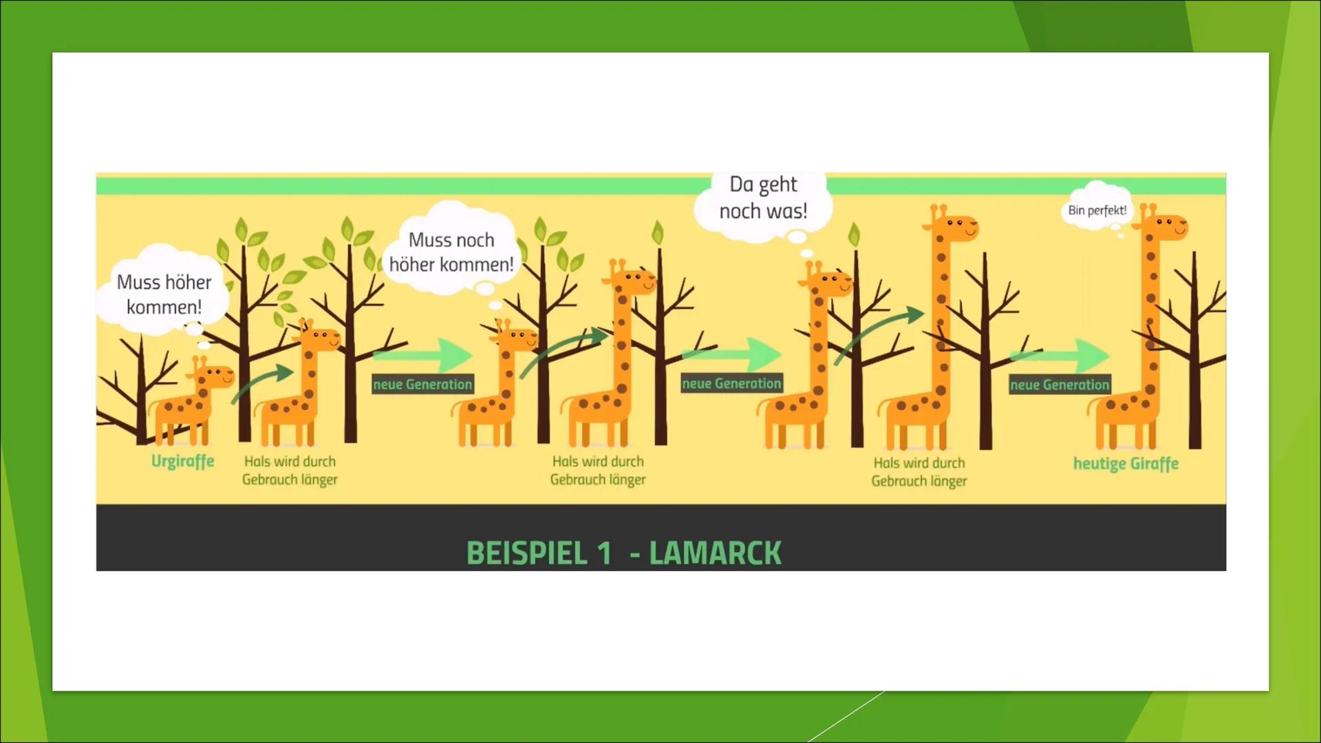 Lamarck vs Darwin: Evolutionstheorien im Vergleich - Giraffen, Tabellen & Arbeitsblätter ...