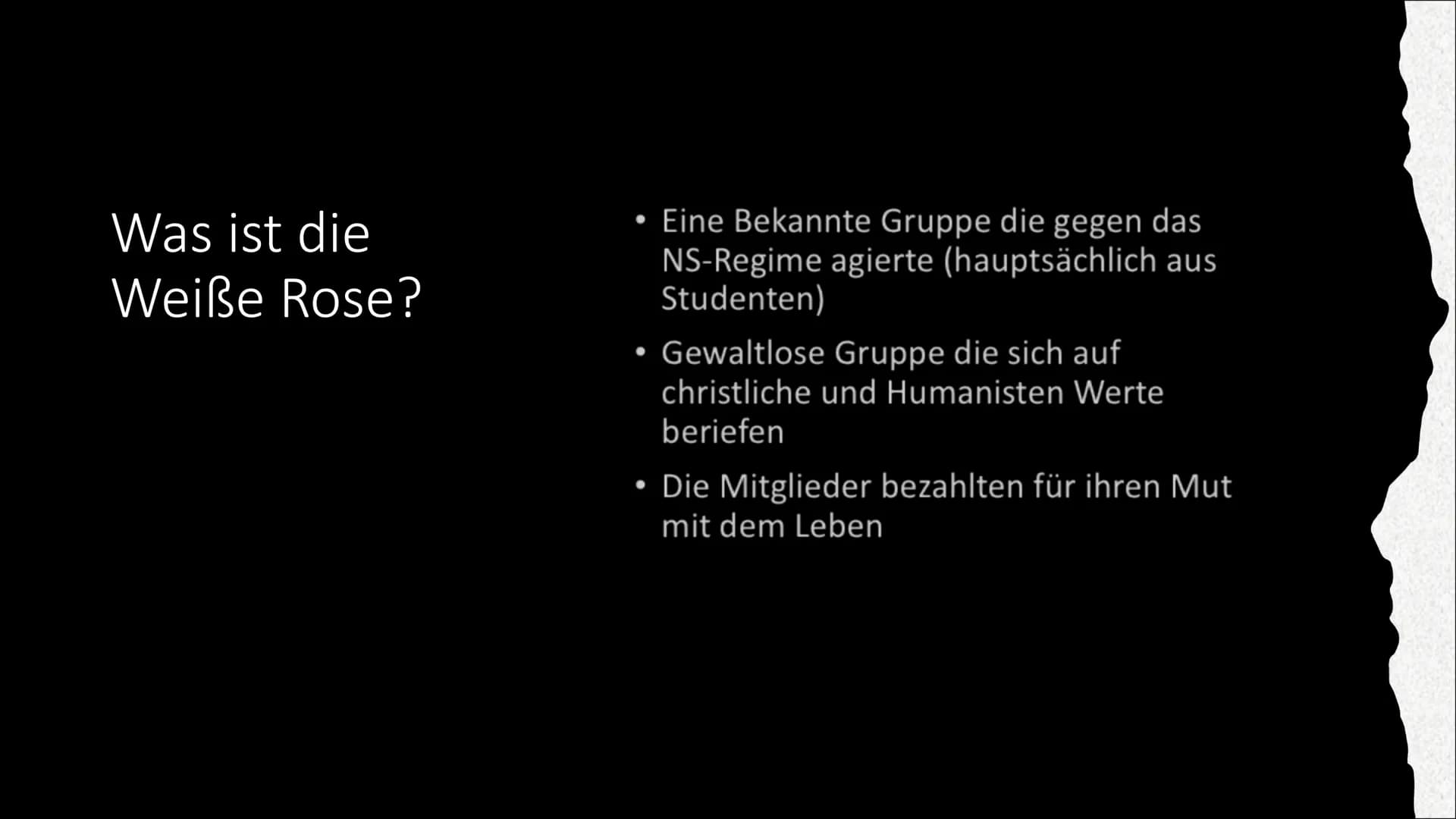 Die Weise Rose Unschuld Widerstand Oder Doch Etwas Mehr Was Bedeutet Eine Weise Rosefeed