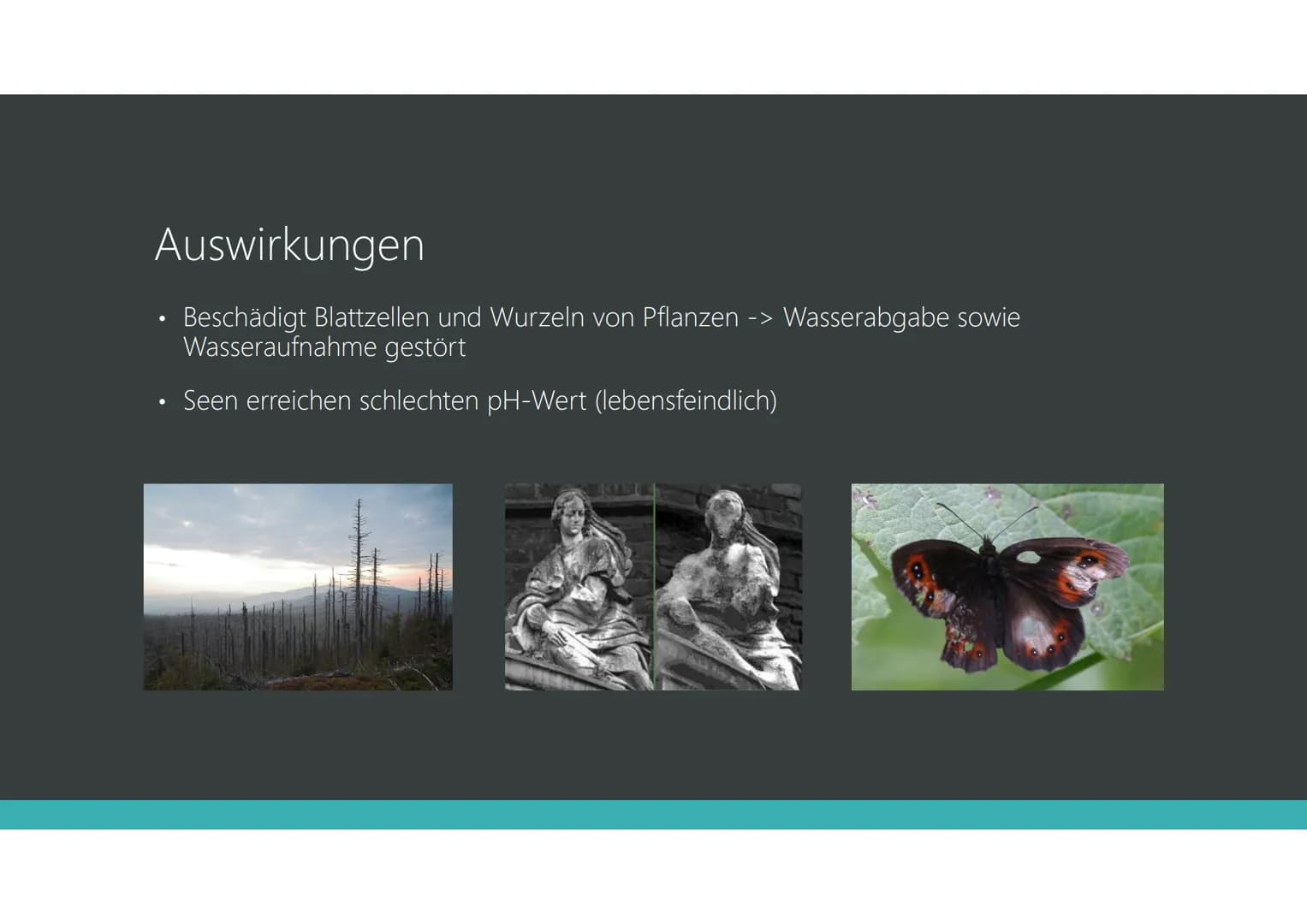 Alles über sauren Regen: Entstehung, Auswirkungen und Gegenmaßnahmen ...