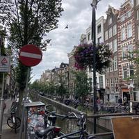 Einfach erklärt: Extremwertprobleme leicht erklärt: Mit ...