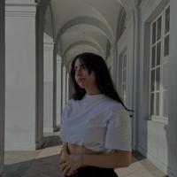 Einfach erklärt: Auge Aufbau und Funktion: Stäbchen, Zapfen, Netzhaut ...