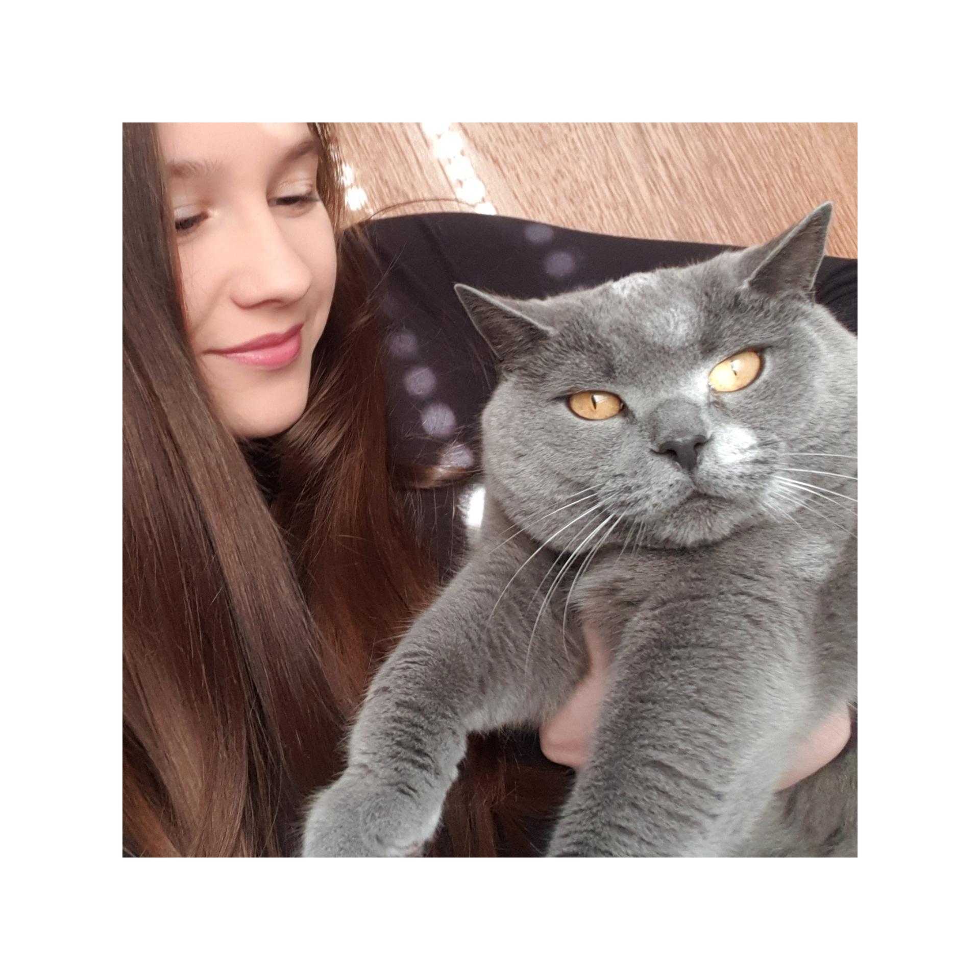 Katalysatoren: Einfach erklärt mit Beispielen aus dem Alltag (Chemie ...