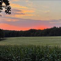 Einfach erklärt: Tschick: Maik Klingenberg Charakterbeschreibung und ...
