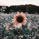 MSA Deutsch Aufgaben und Lösungen 2024 - Kostenloses MSA-Vorbereitung ...