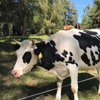 Einfach erklärt: Impressionismus in der Musik einfach erklärt ...