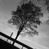 Einfach erklärt: Understanding Narrative Perspectives: Types, Examples ...