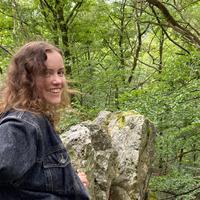 Englisch Analyse: Beispiele, Formulierungshilfen und Musterlösungen ...