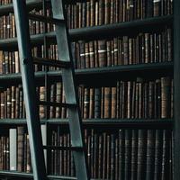 Easy Cartoon Analysis Examples and PDF Guide (Englisch) als PDF - Knowunity