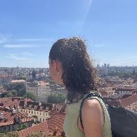 Einfach erklärt: The Passive (Englisch) - Knowunity