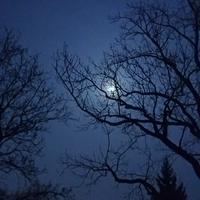 Einfach erklärt: Alles über Kniesehnenreflexe: Ursachen, Tests ...