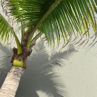 Crossing Over - Knowunity