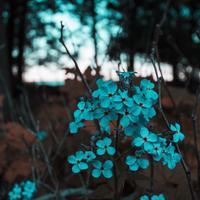 Der Denker Club (Räume, Zeiten, Gesellschaften, Gesch./Soz./pol ...