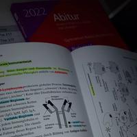 Reimschema Gedicht: Beispiele, Übungen und Arten leicht erklärt ...